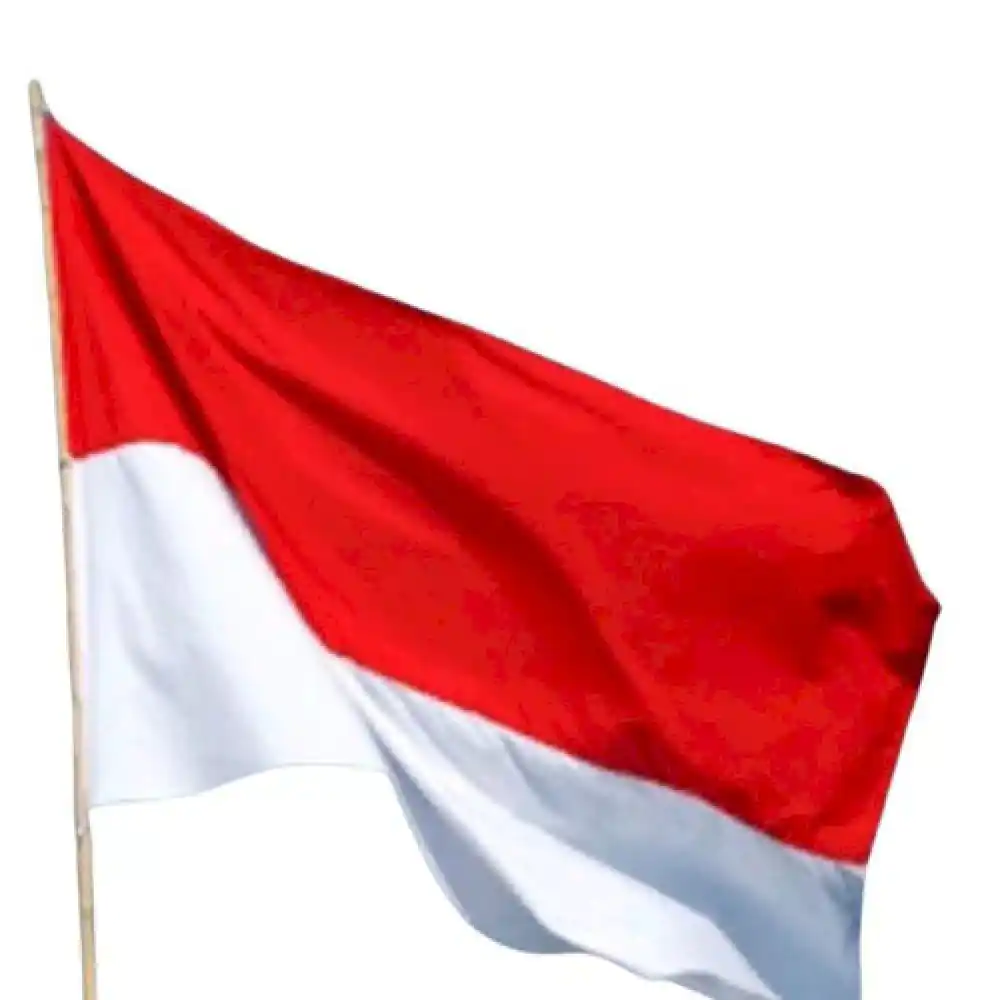 Bendera Merah Putih Logo Paket Bendera Merah Putih
