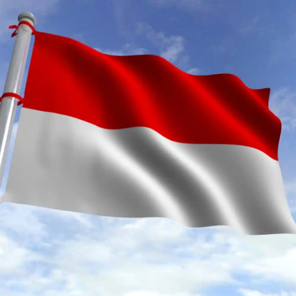 Bendera Merah Putih Logo Paket Bendera Merah Putih